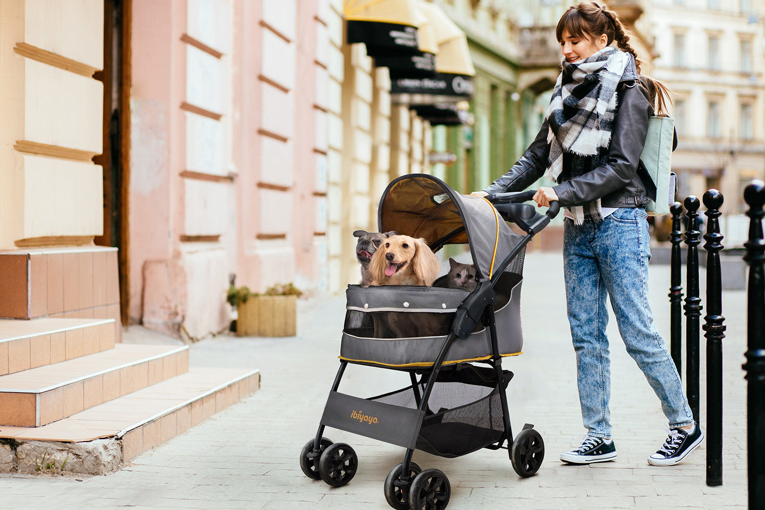 Exploring the Wonderful Benefits of Pet Prams: A Stroll with Style and ...