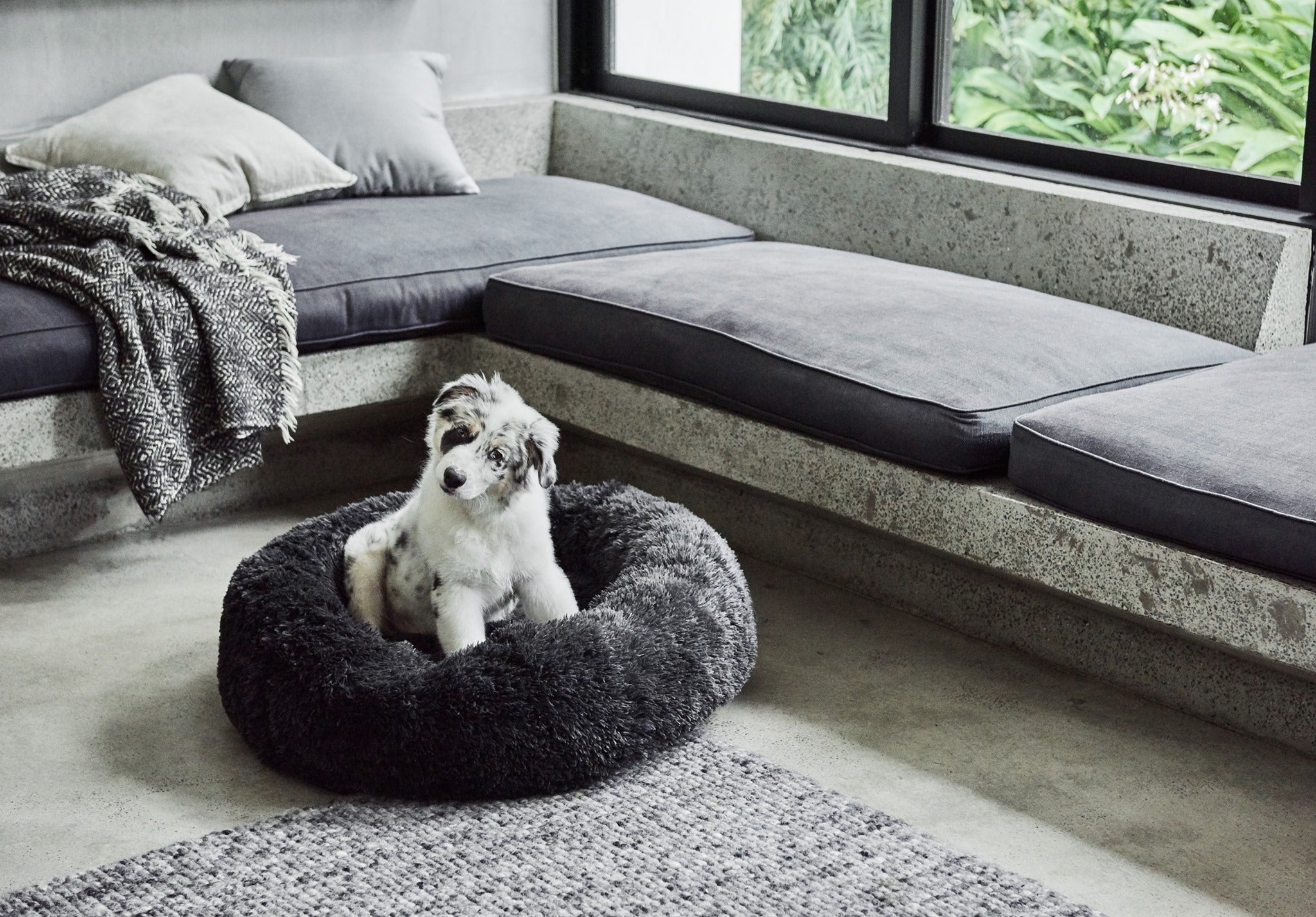 Snooza Calming Cuddler Beds – Modern Paws