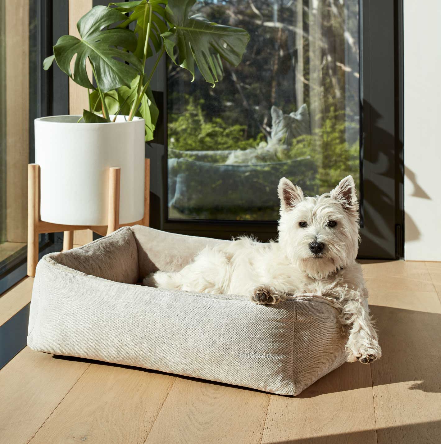 The Ultimate Winter Comfort: Orthopaedic Dog Beds and the Benefits ...