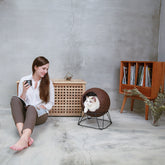 Modern Paws Pet Store