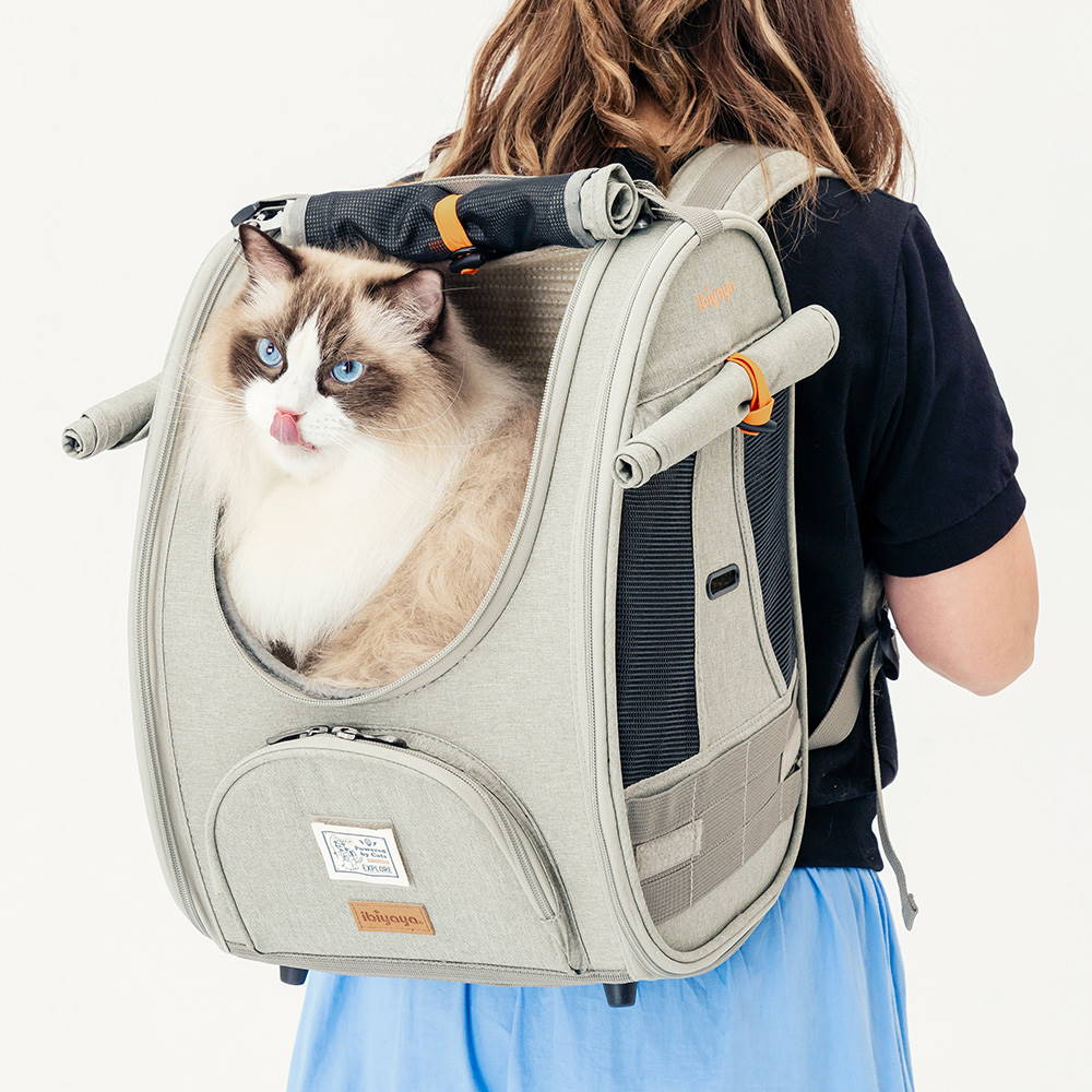 Cat Carriers – Modern Paws