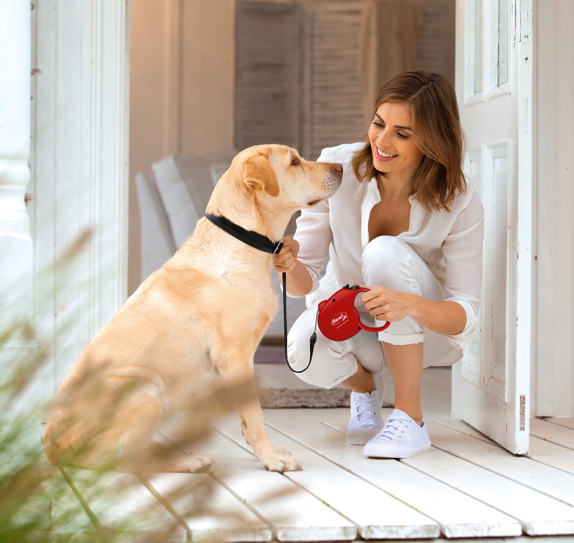 Walks & More – Modern Paws