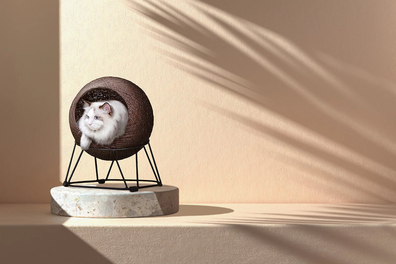 Modern Paws Pet Store