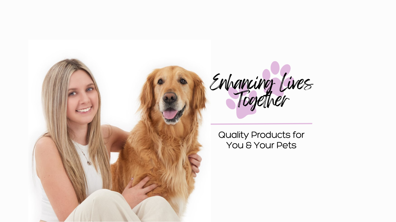 Modern Paws Pet Store